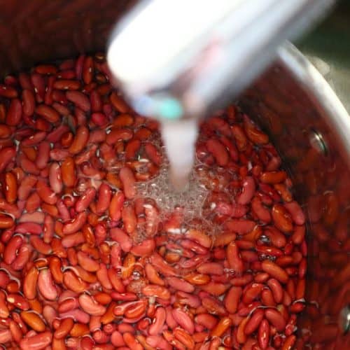 Blue Runner Red Beans and Rice Recipe | Red Beans and Eric